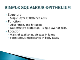 LECTURE 4 Epithelial Tissue | PPT