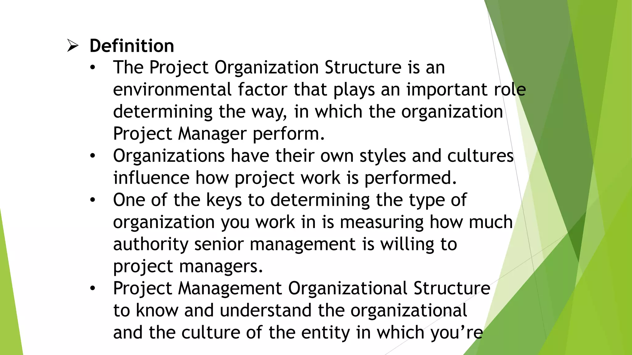 Lec 04 project organization | PPTX