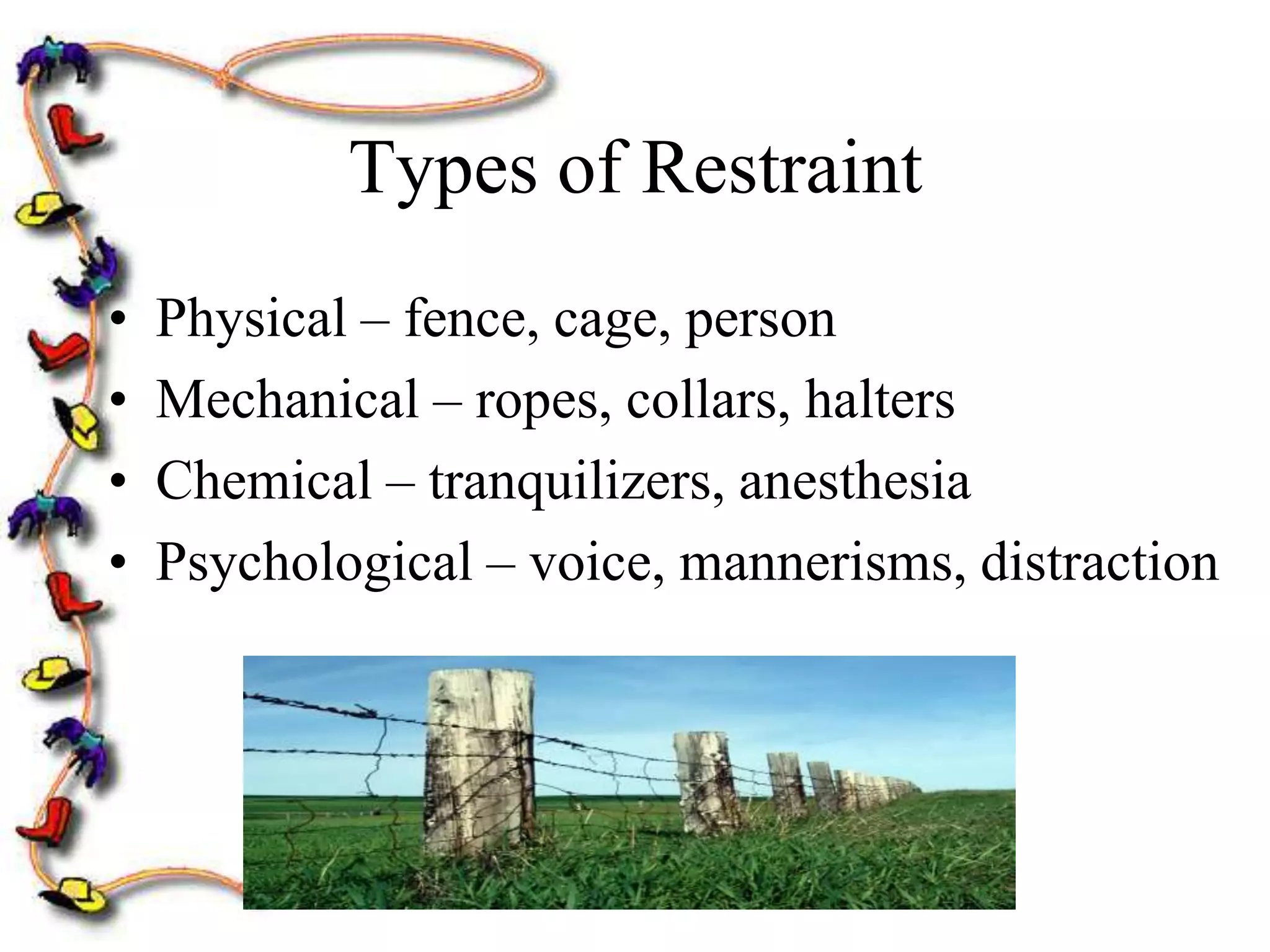 Lec 04 Restraint | PPTX