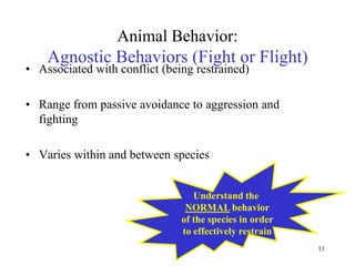 Lec 04 Restraint | PPTX