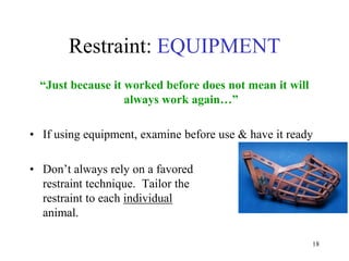 Lec 04 Restraint | PPT