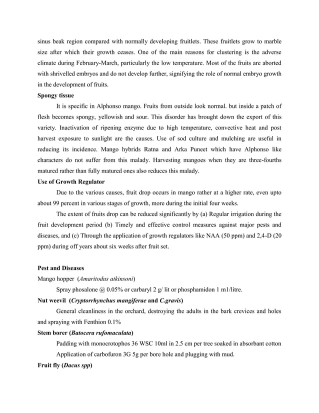 MANGO- MAJOR PROBLEMS | PDF