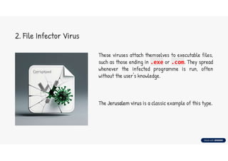 Main types of computer viruses, Malware | PDF