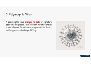 Main types of computer viruses, Malware | PDF