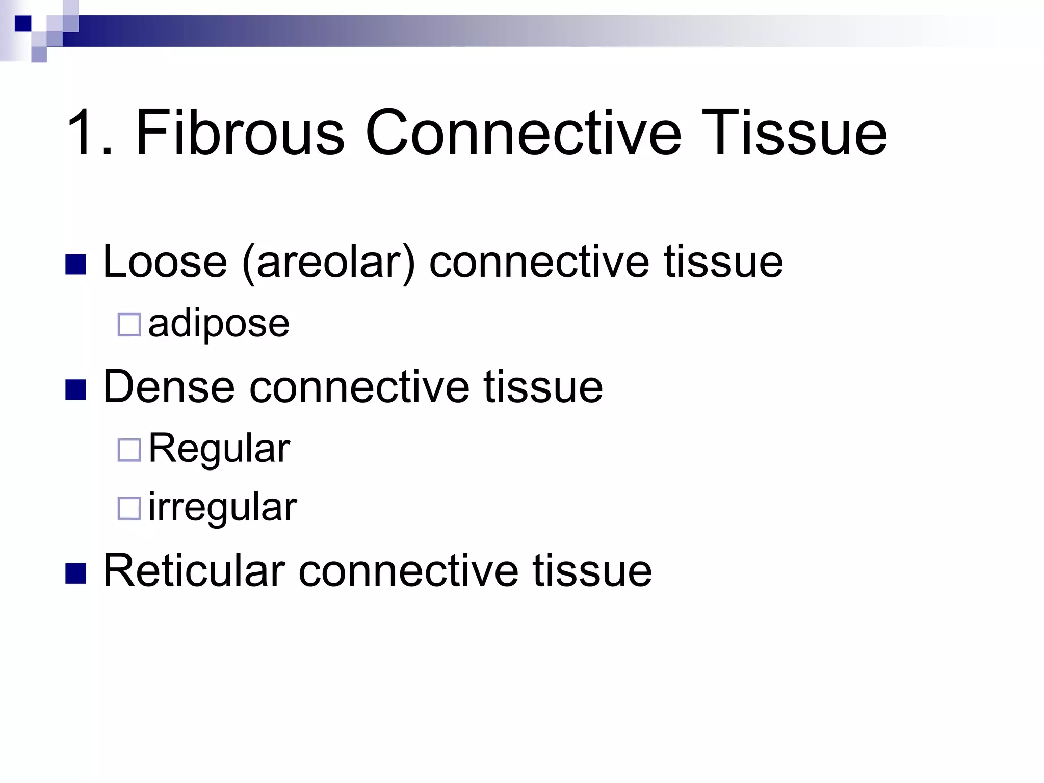 Lecture 5 Connective Tissues | PDF