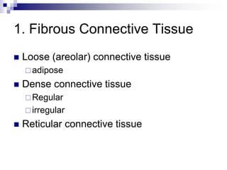 Lecture 5 Connective Tissues | PDF