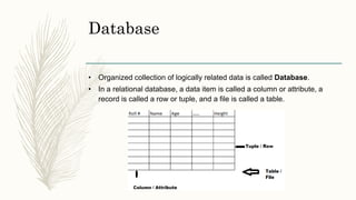 database management system and cybercrime | PPT