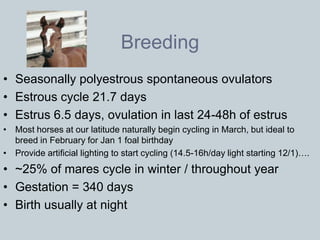 Lec 05 Equine | PPTX