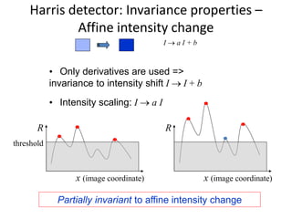 Computer Vision invariance | PPTX