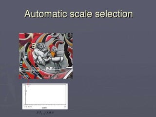 Computer Vision invariance | PPTX
