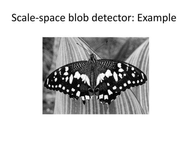 Computer Vision invariance | PPT