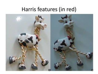 Computer Vision invariance | PPTX
