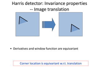 Computer Vision invariance | PPTX