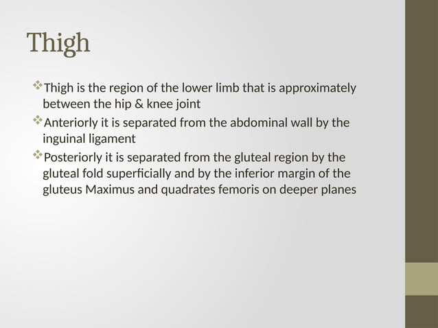 lec#05 Muscles of Thigh.pptx anatomy lecture | PPTX