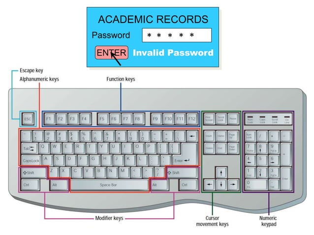 Lec # 06 Computer Hardware (IO Devices)-1.pptx