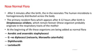 Lec 07. Normal flora | PDF