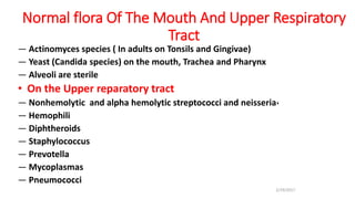 Lec 07. Normal flora | PDF