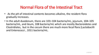 Lec 07. Normal flora | PDF