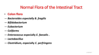 Lec 07. Normal flora | PDF