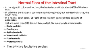 Lec 07. Normal flora | PDF