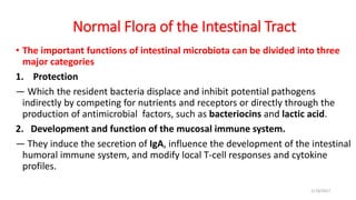 Lec 07. Normal flora | PDF