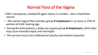 Lec 07. Normal flora | PDF