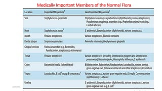 Lec 07. Normal flora | PDF