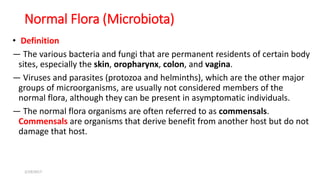 Lec 07. Normal flora | PDF