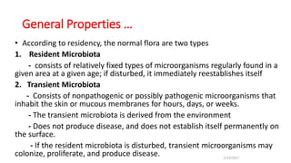 Lec 07. Normal flora | PDF