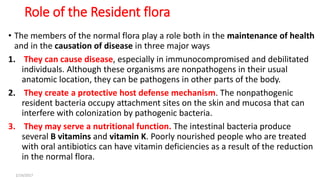 Lec 07. Normal flora | PDF
