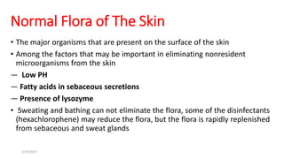 Lec 07. Normal flora | PDF