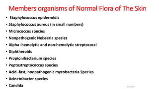 Lec 07. Normal flora | PDF