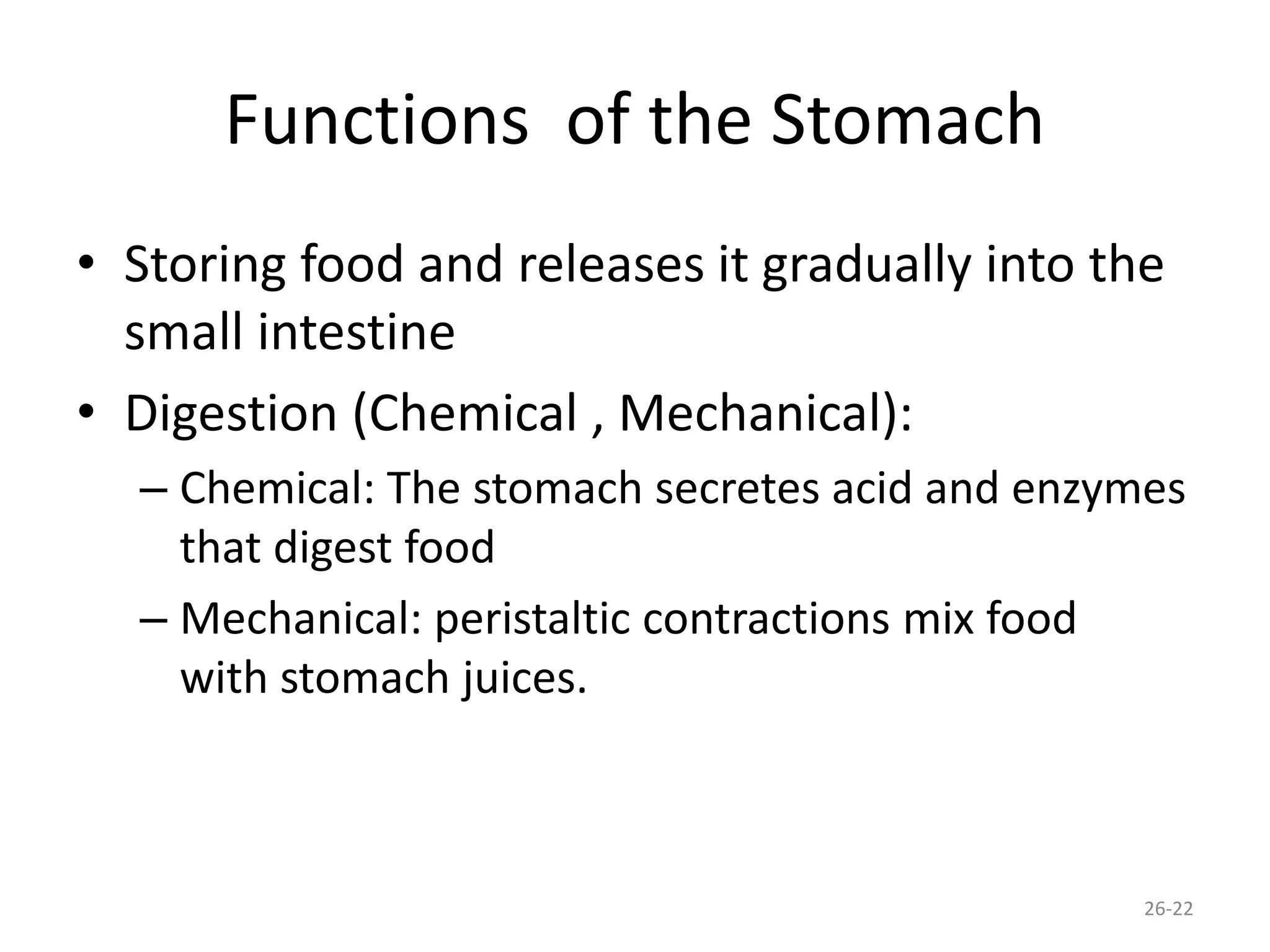 Digestive system | PDF