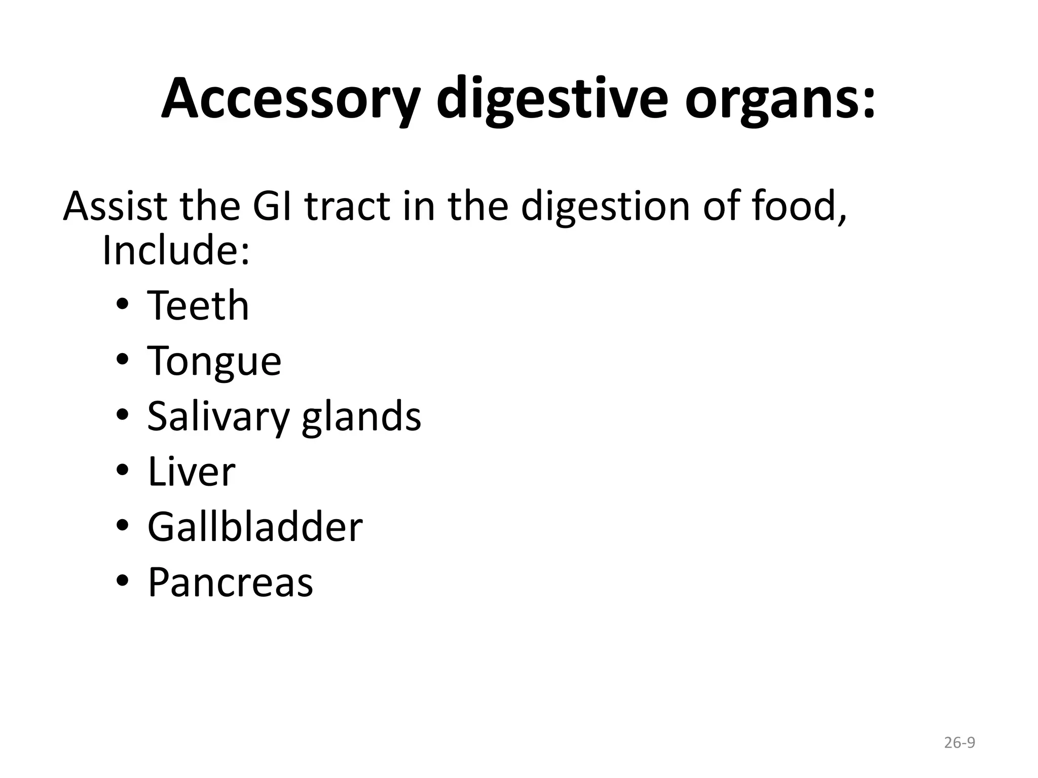 Digestive system | PDF