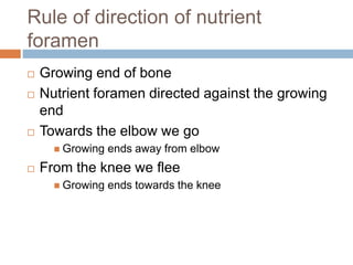 BONES Lecture 7 | PPT