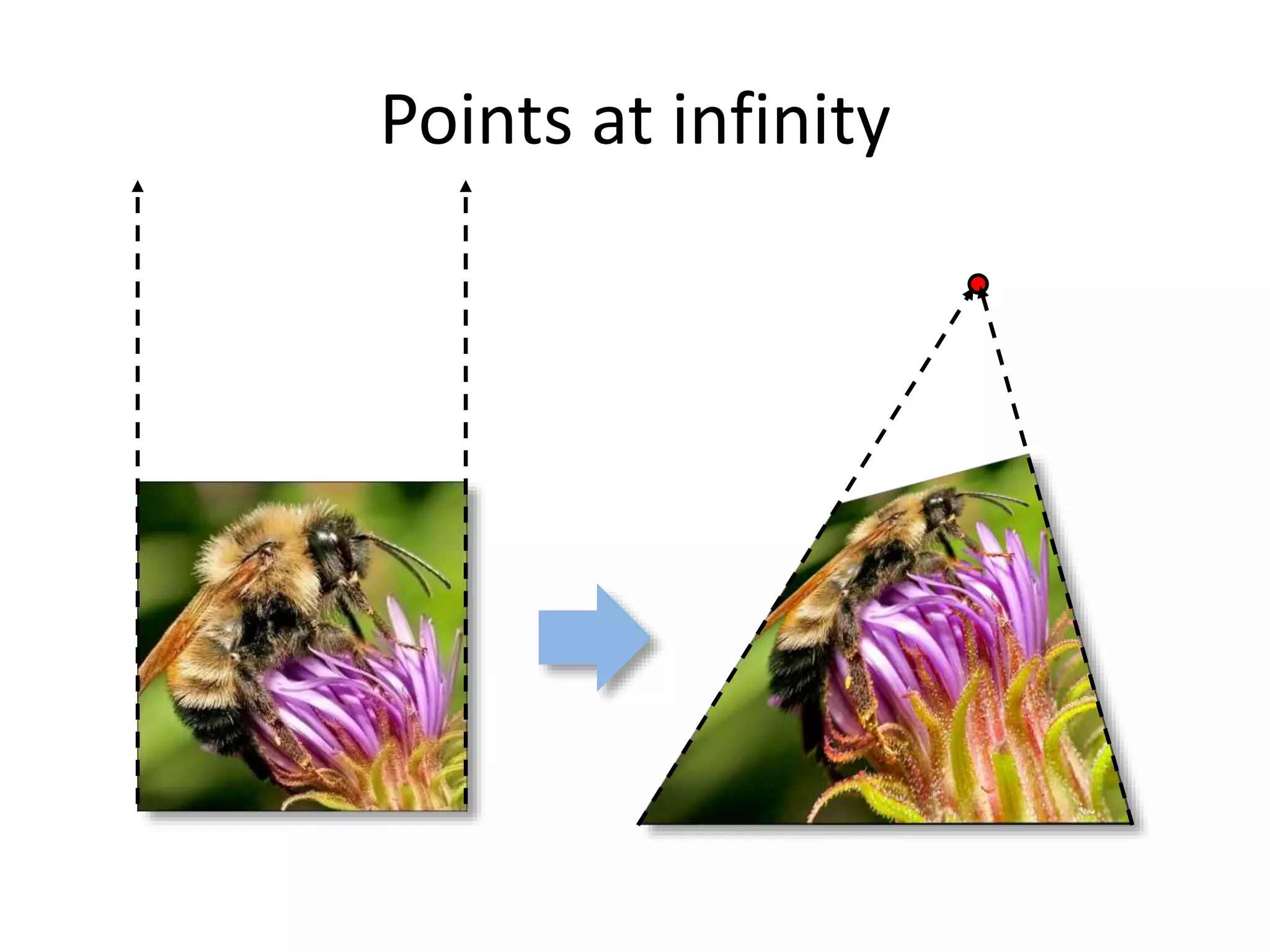 Computer Vision transformations | PPTX