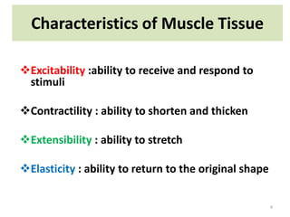 lec08_musc (1). class presentation notes | PPT