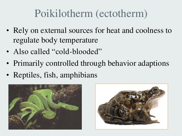 Lec 09 Thermoregulation
