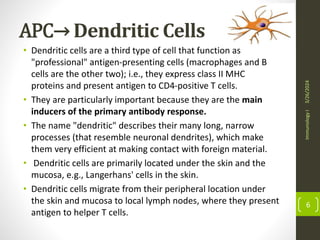 LEC#0 Antigen-Presenting Cells ALL THE CELLS HAT HAVE.pptx