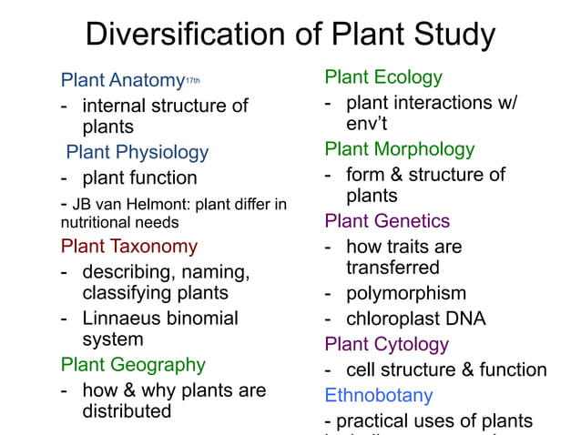 BOTANY LECTURE 1 | PPTX