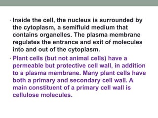celluler structure & function | PPTX