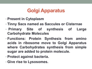 celluler structure & function | PPTX