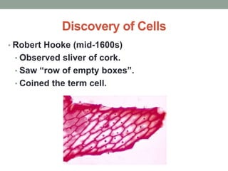 celluler structure & function | PPTX