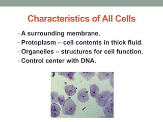 celluler structure & function | PPTX