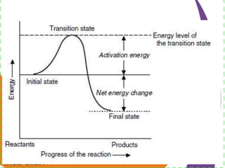 chemistry of enzymes, ES complex theories, co factors and coenzymes | PPT