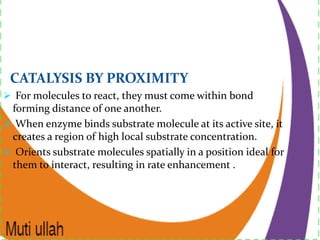 chemistry of enzymes, ES complex theories, co factors and coenzymes | PPT