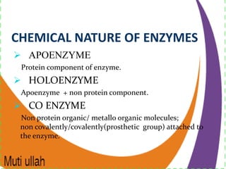 chemistry of enzymes, ES complex theories, co factors and coenzymes | PPT