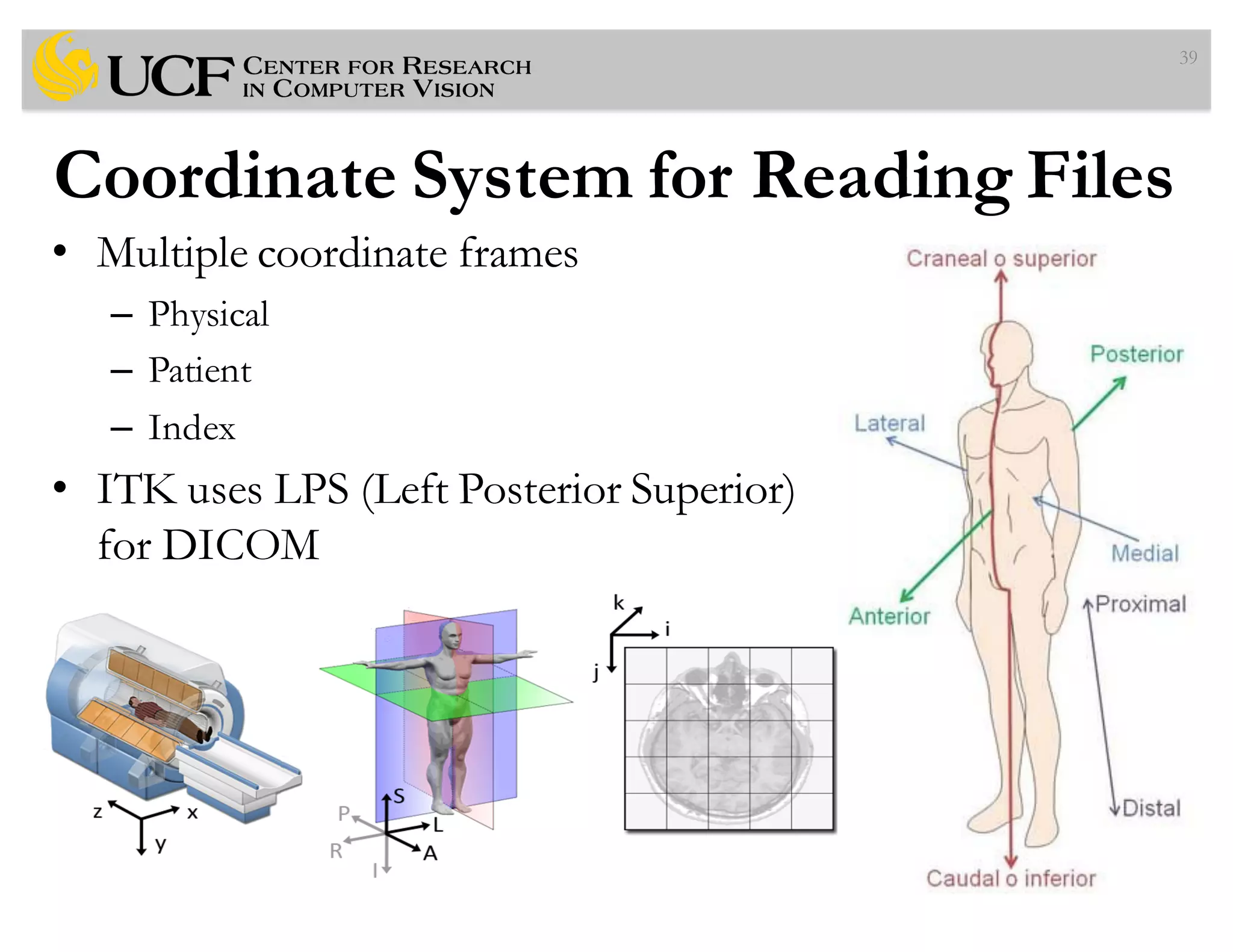 Lec1: Medical Image Computing - Introduction | PDF