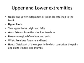 anatomy and histology | PPTX