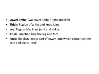 anatomy and histology | PPTX